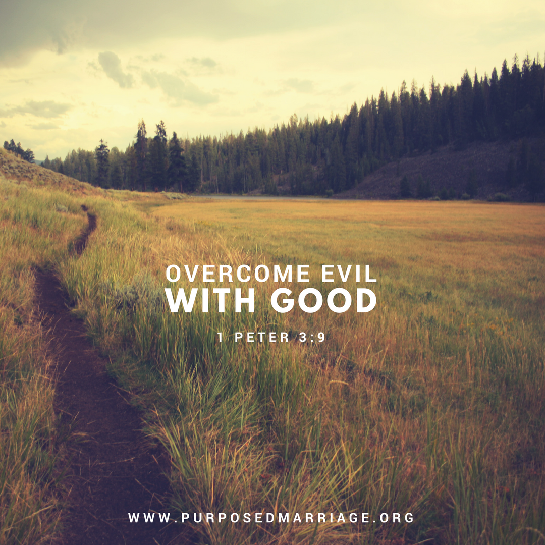 Overcome Evil with Good | Hope for Hurting Marriages - Purposed Marriage